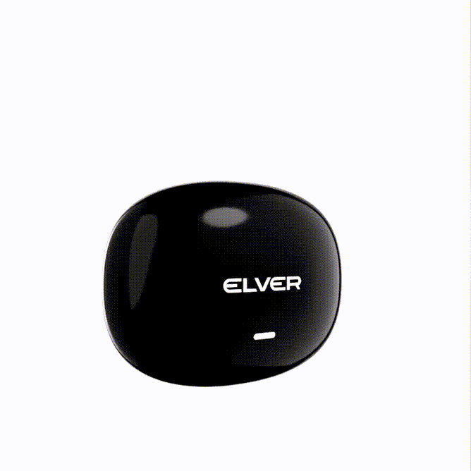 Elver: Experience Music With India's Trusted Audio Store